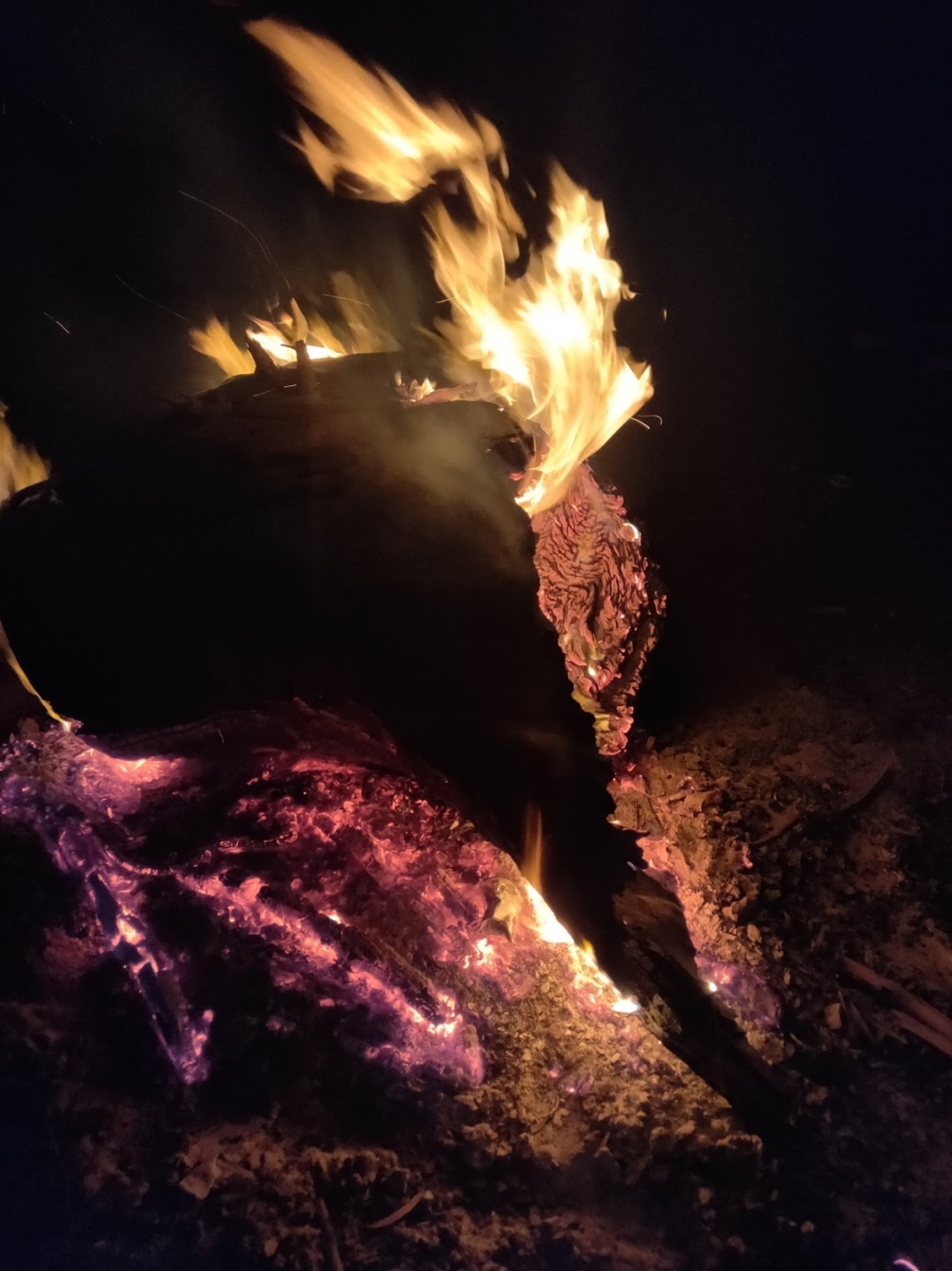 Kohlhagens Beach, State of New South Wales: Information and Reviews