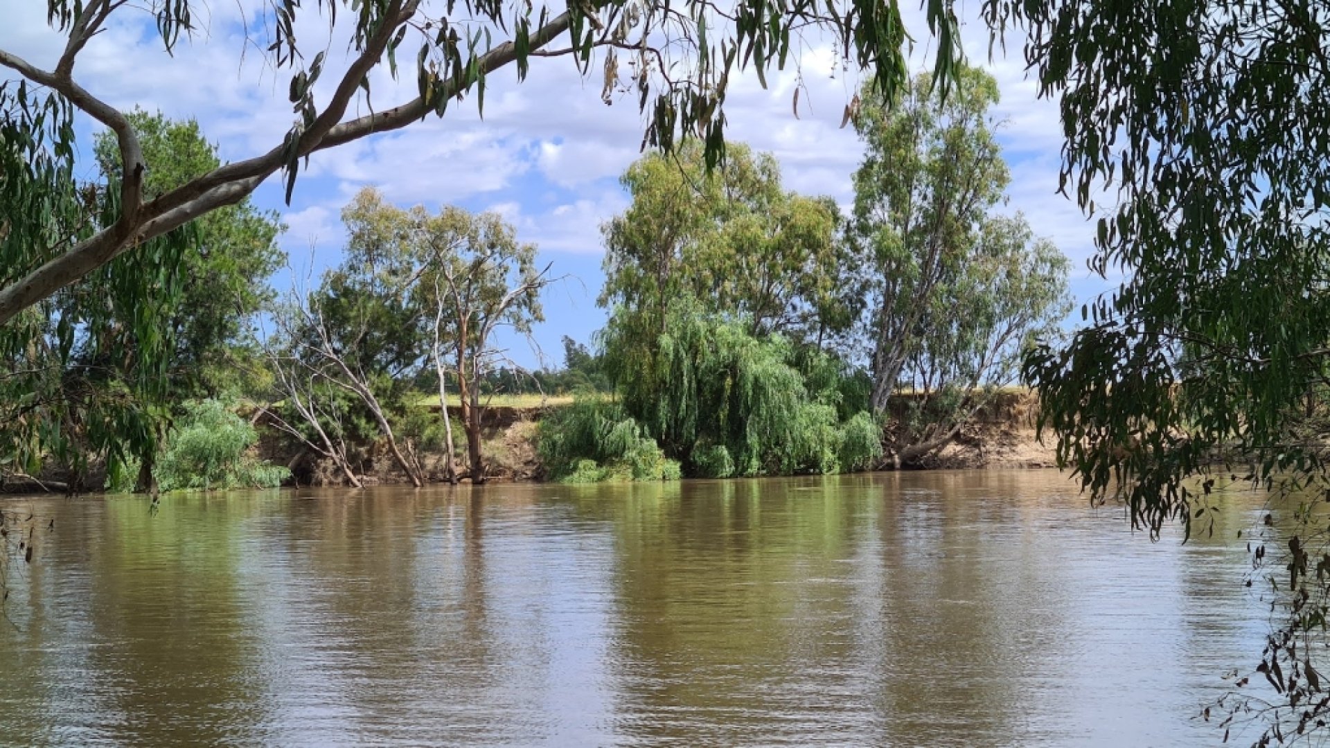 Kohlhagens Beach, State of New South Wales: Information and Reviews