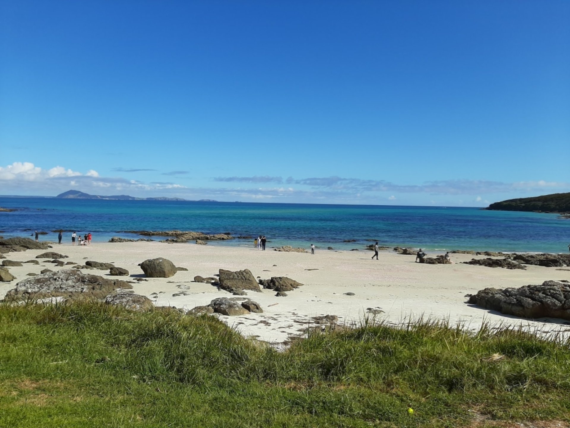 Rangiputa Beach: Information and Reviews