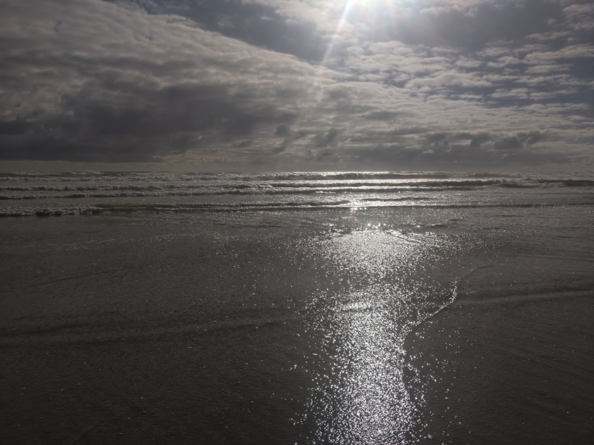 Ripiro Beach, Northland Region: Information and Reviews