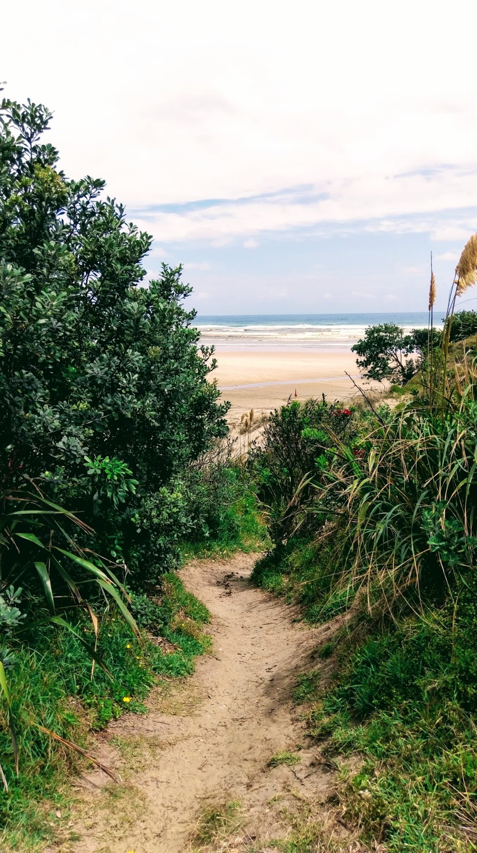 Ripiro Beach, Northland Region: Information and Reviews