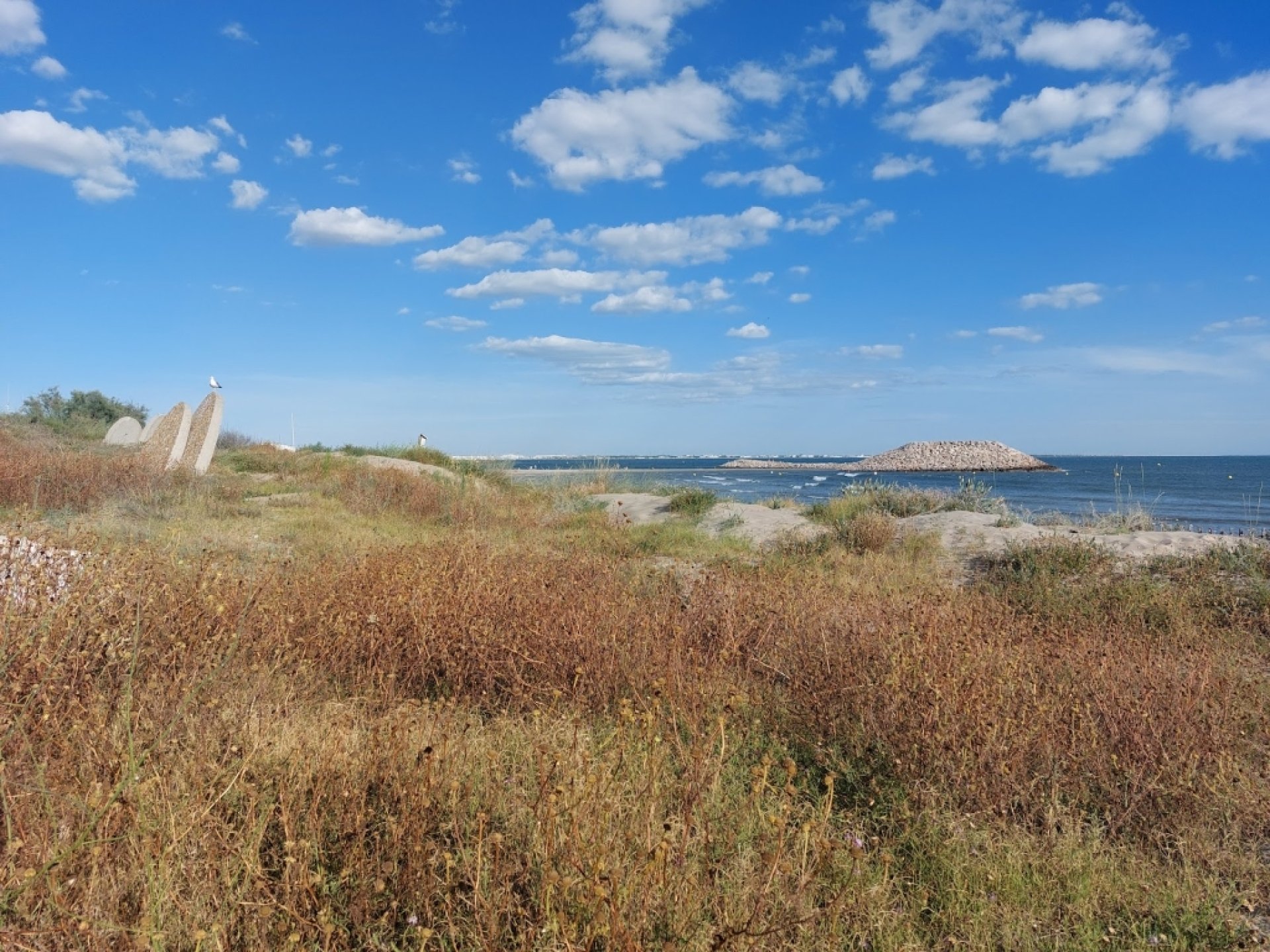 Beach: Information and Reviews